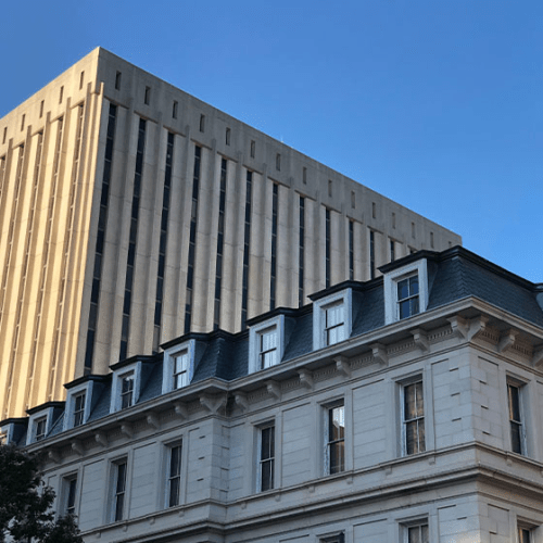 Dinos Alive Exhibit - Une Expérience Immersive